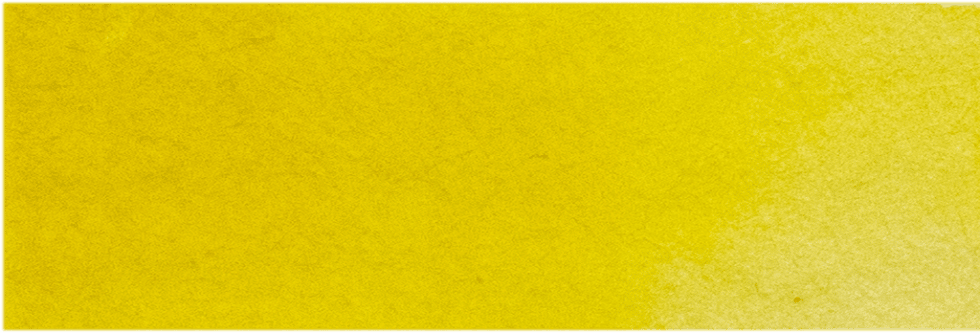 W231 Hansa Yellow Medium | Michael Harding